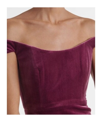 Alex Perry Off-shoulder Velvet Corset Dress