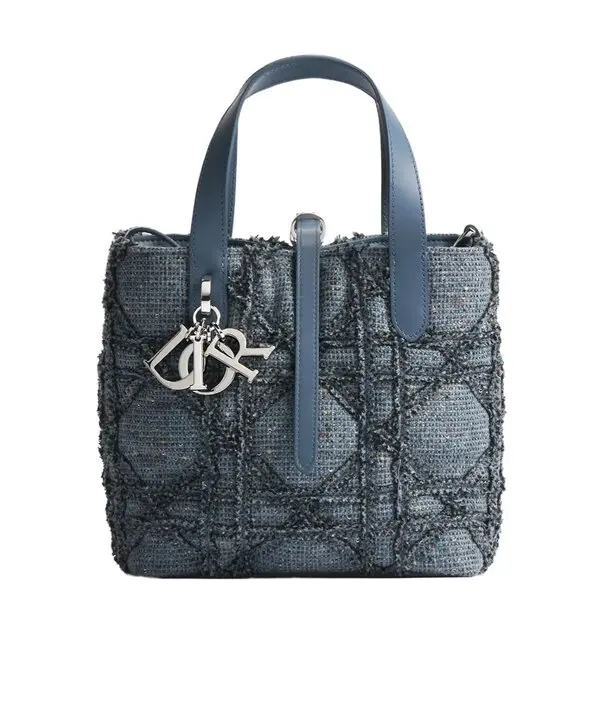 Dior Small Toujours Vertical Tote Bag