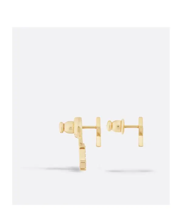 Dior Dioevolution Earrings