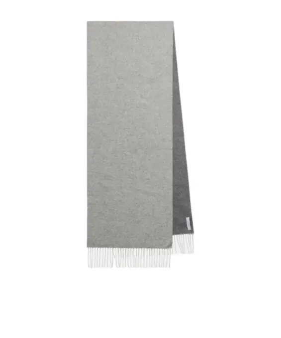 Gabriela Hearst Blaine Fringed Silk And Cashmere Scarf - Gray