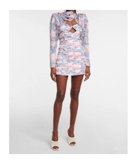Magda Butrym Floral Cutout Silk Minidress