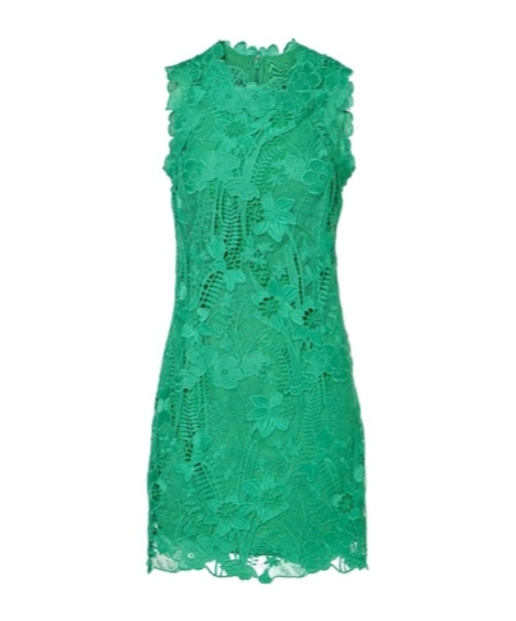 Monique Lhuillier Floral Lace Sleeveless Crew Neck Minidress - Green