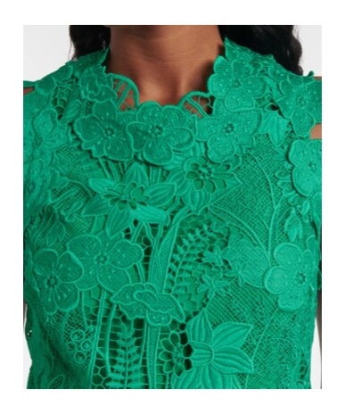Monique Lhuillier Floral Lace Sleeveless Crew Neck Minidress - Green