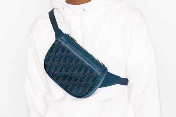 Dior Logo Chest Bag