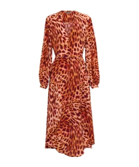 Stella McCartney Cheetah-print Silk Maxi Dress