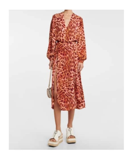 Stella McCartney Cheetah-print Silk Maxi Dress