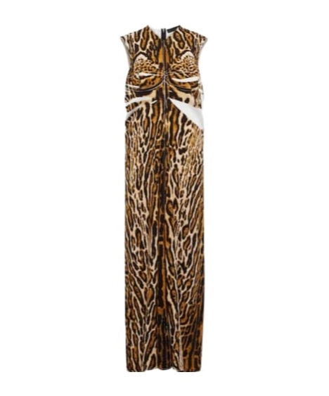 Proenza Schouler Leopard-print Crêpe Maxi Dress