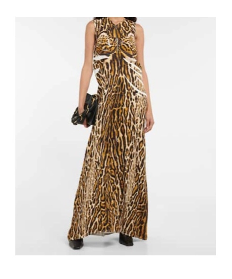 Proenza Schouler Leopard-print Crêpe Maxi Dress