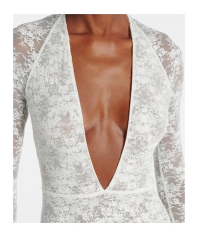 Alex Perry Sheer Lace Gown