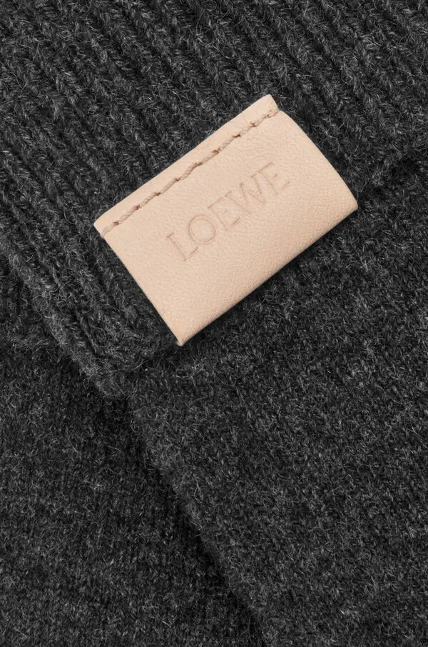 Loewe Gloves In Cashmere