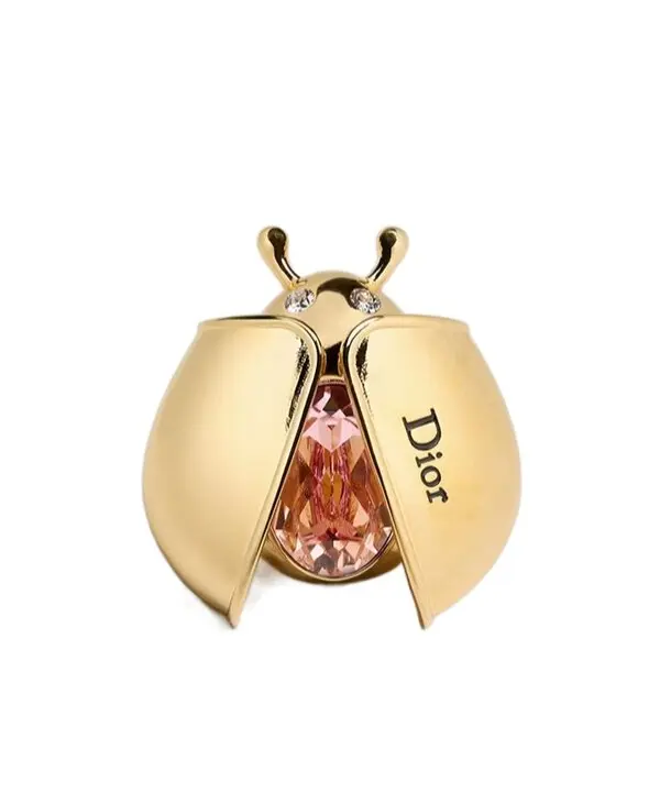 Dior Lady Spark Brooch