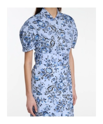 Erdem Frederick Cotton Poplin Midi Dress