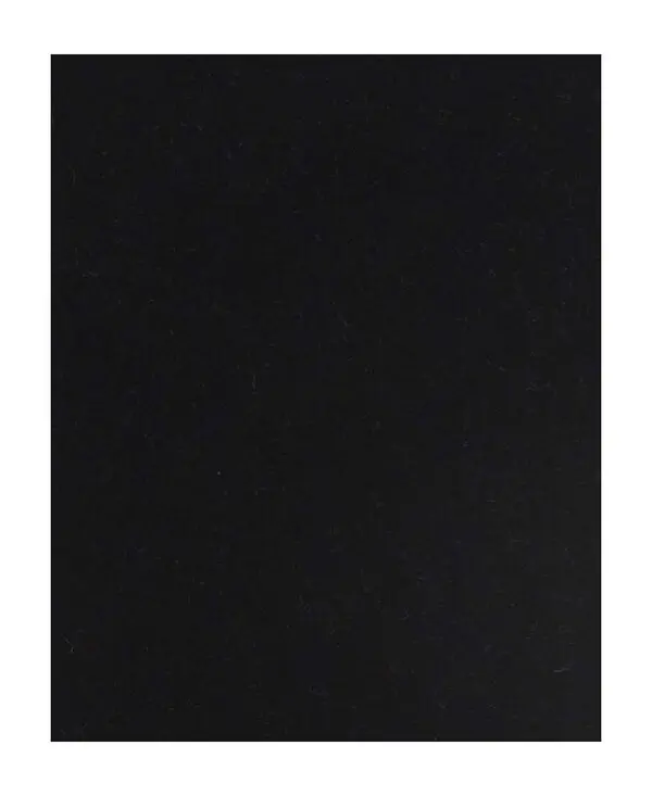Valentino Garavani Vltn Fringed Scarf