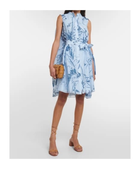 Erdem Printed Cotton Silk Voile Minidress
