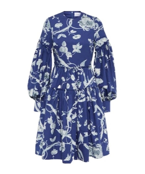 Erdem Floral Poplin Minidress - Blue