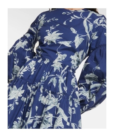 Erdem Floral Print Long Sleeve Mini Dress