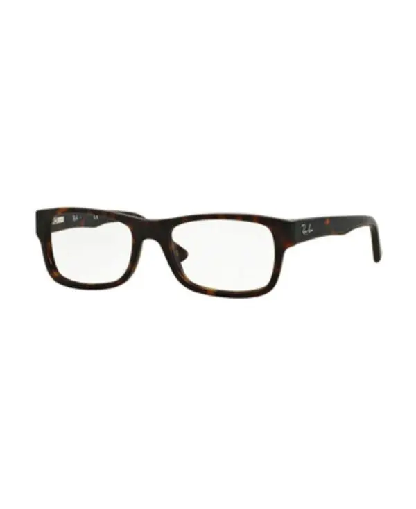Ray-ban Logo Flat Mirror
