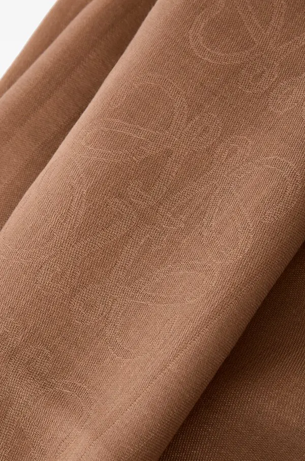 Loewe Scarf In Wool And Silk