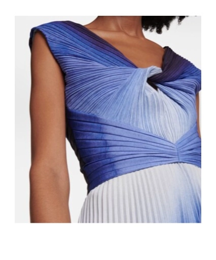 Altuzarra Printed Pleated Maxi Dress