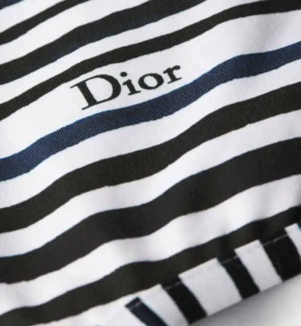 Dior Striped One-piece Swimsuit