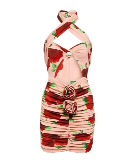 Magda Butrym Halterneck Floral Minidress
