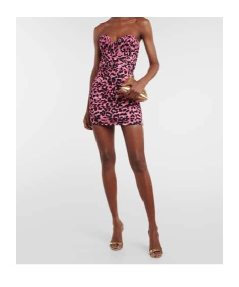 Alex Perry Axton Leopard-print Minidress