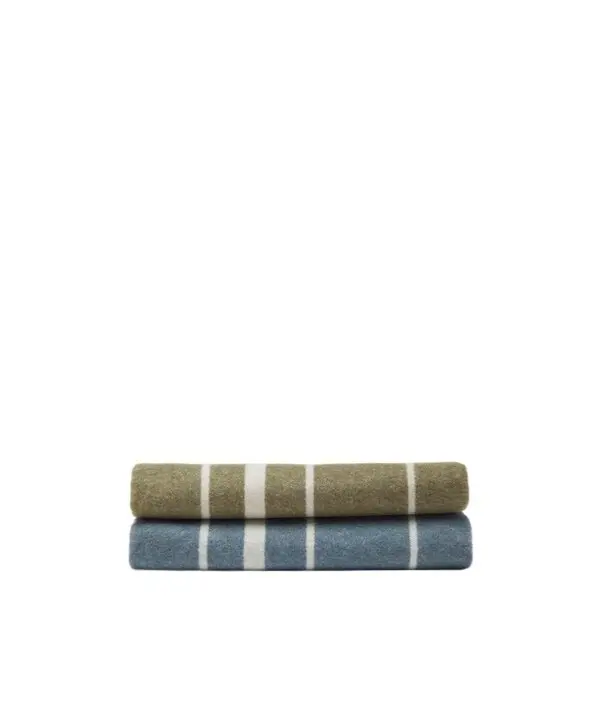 Loro Piana Suitcase Stripe Plaid
