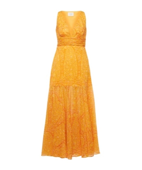Giambattista Valli Printed Cotton Maxi Dress