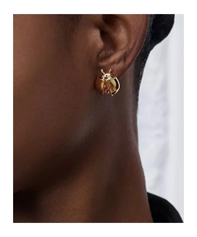 Dior Lady Spark Stud Earrings