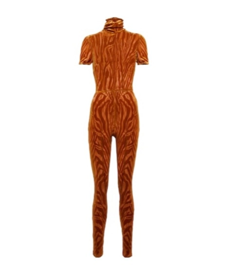 Alex Perry Benton Devoré Zebra-print Catsuit - Brown