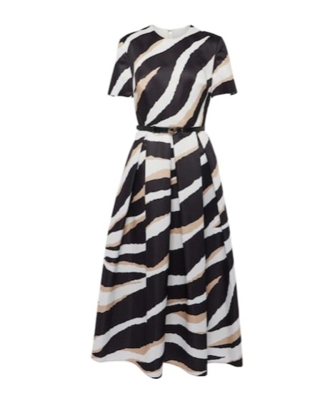 Elie Saab Printed Silk-blend Midi Dress