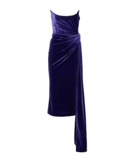 Alex Perry Draped Velvet Corset Gown - Blue