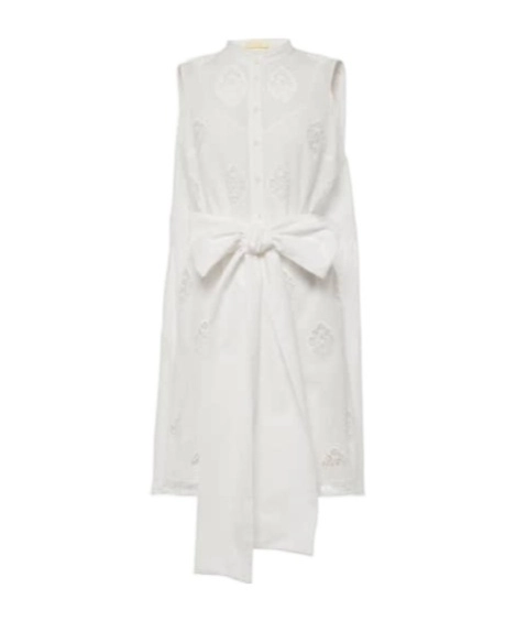 Erdem Embroidered Cotton-blend Minidress