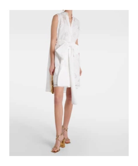 Erdem Embroidered Cotton-blend Minidress