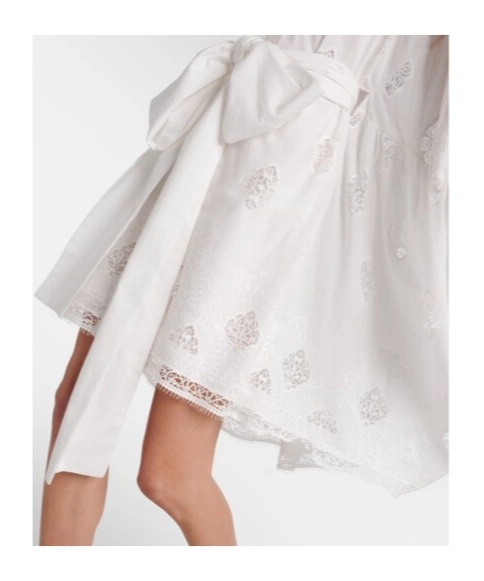 Erdem Embroidered Cotton-blend Minidress