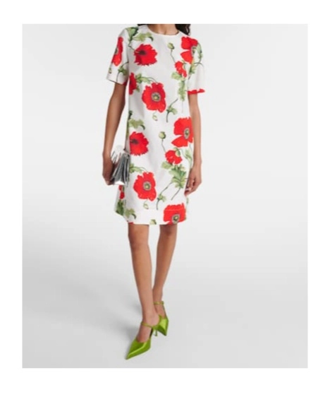 Oscar De La Renta Floral Cotton-blend Minidress - White