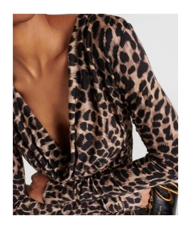Blumarine Leopard-print Wool Jersey Maxi Dress - Multicolor