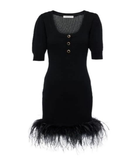 Alessandra Rich Feather-trimmed Wool Minidress - Black