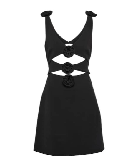 Magda Butrym Floral Appliqué Cutout Wool-blend Mini Dress