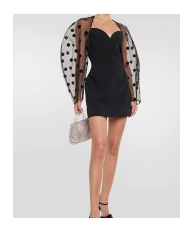 Nina Ricci Tulle Minidress