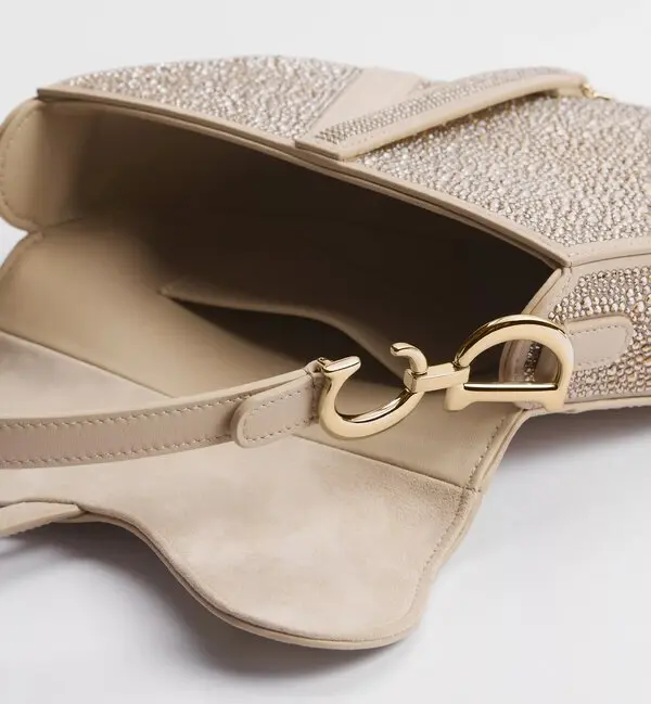 Dior Small Saddle Bag With Strap