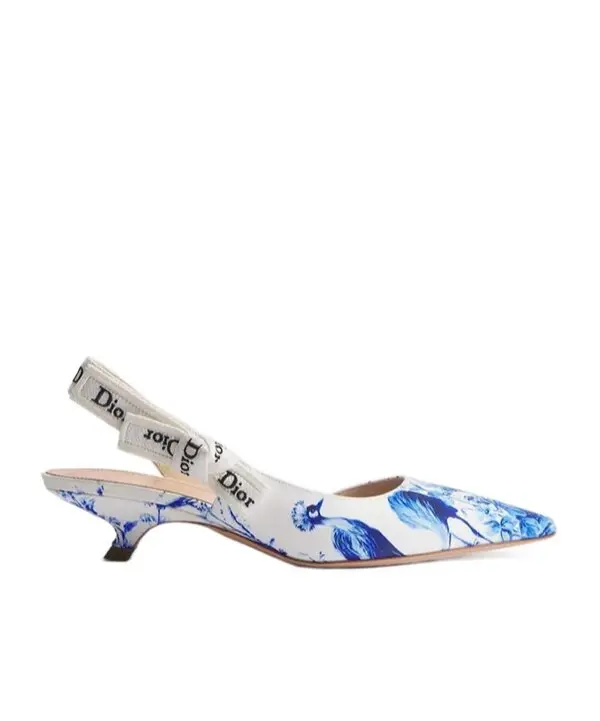 Dior Pointed-toe High-heeled Sandals - White/blue