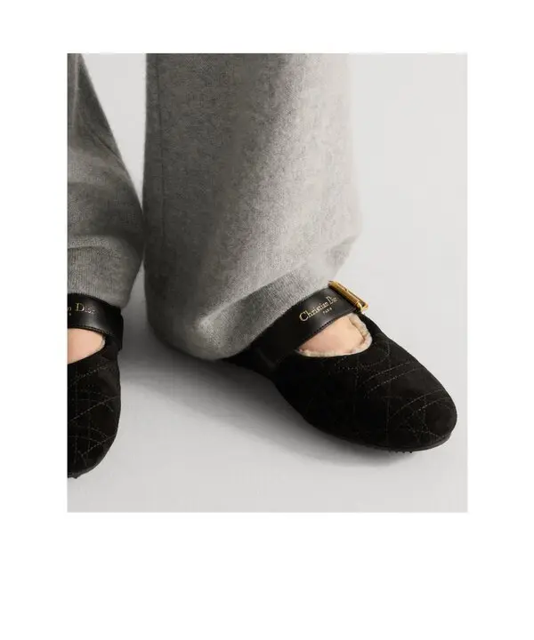 Dior Dioralps Frost Ballet Flat