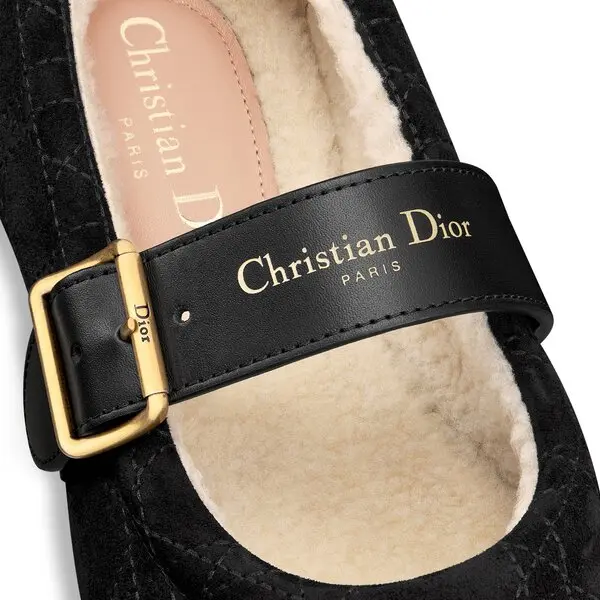 Dior Dioralps Frost Ballet Flat