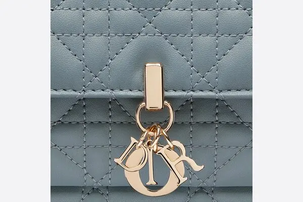 Dior Lady Chain Pouch