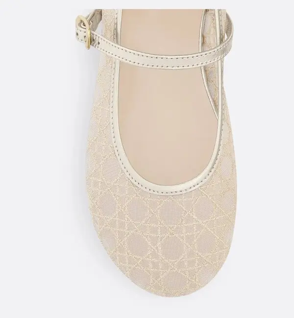 Dior Round-toe Ballet Flats
