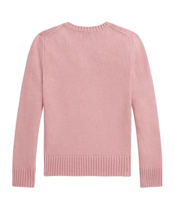 Polo Ralph Lauren Bear Embroidered Sweater