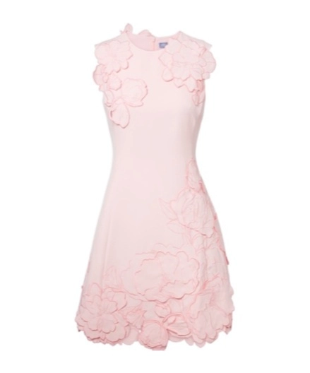 LEO Floral-appliqué Minidress