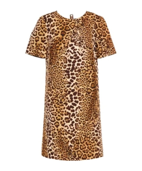 Carolina Herrera Leopard Print Dress