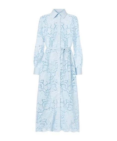 Erdem Laser-cut Cotton Shirt Dress - Blue